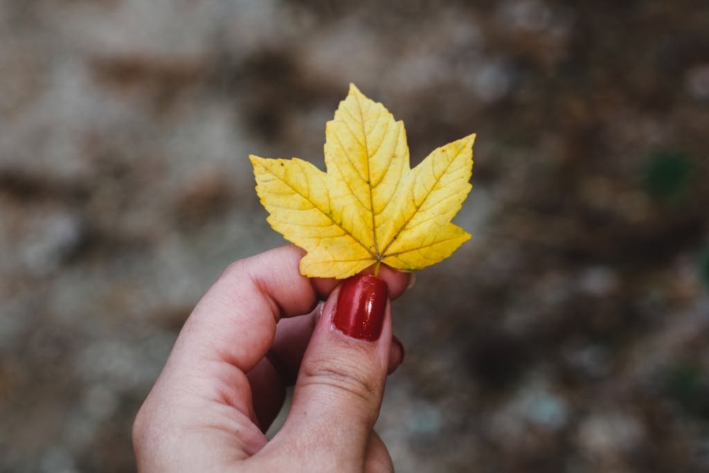 75 Fall 2026 Hair and Nail Ideas: Ultimate Seasonal Beauty Guide